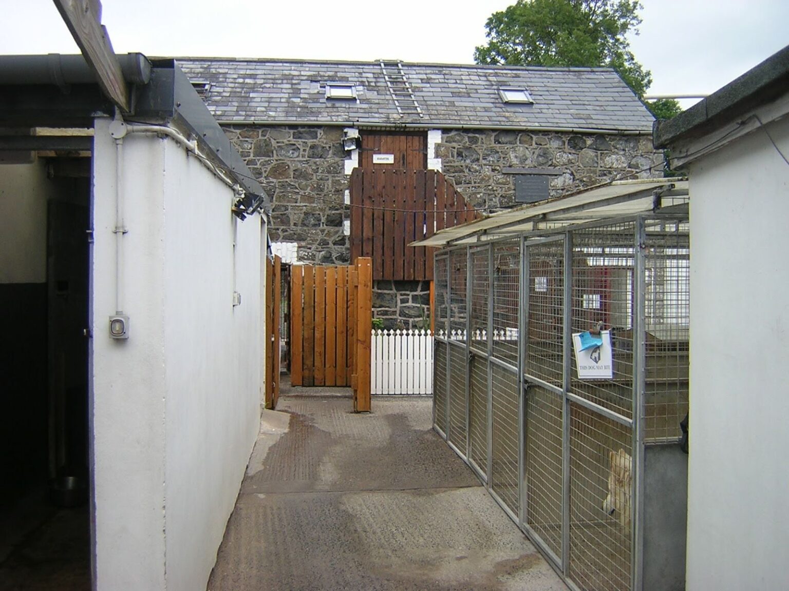 We’re celebrating our 25th Anniversary! – Mid Antrim Animal Sanctuary